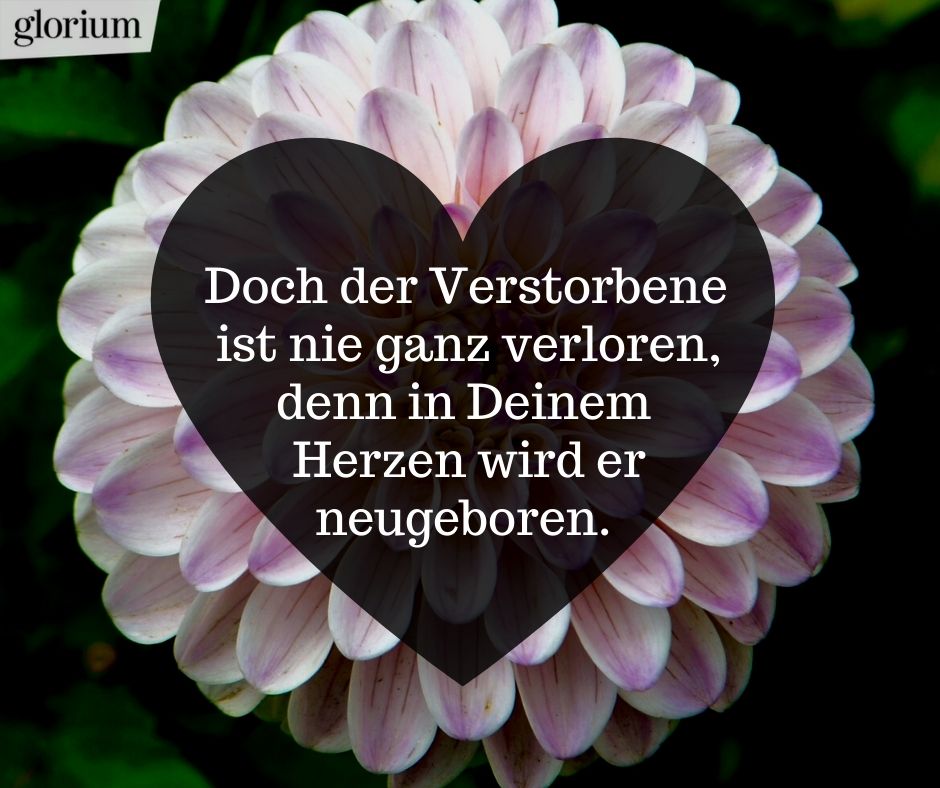 Trauerbilder 🕯️ mit einfühlsamen Trauersprüchen